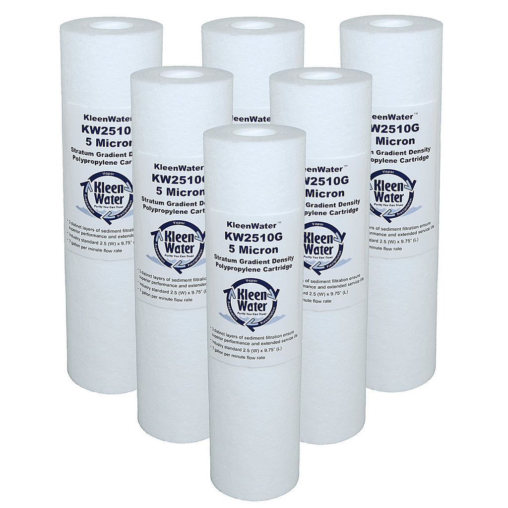Six Pentek P5 Compatible Water Filters - 2.5 x 9.75 Inch - 5 Micron ...